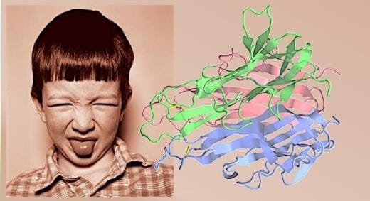 Bitter Taste in Mouth? A Simple Guide to Dysgeusia • What causes bad ...