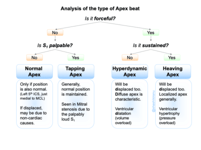 New: Examination of the Cardiac Apex Beat • MEDiscuss • Algorithm for ...