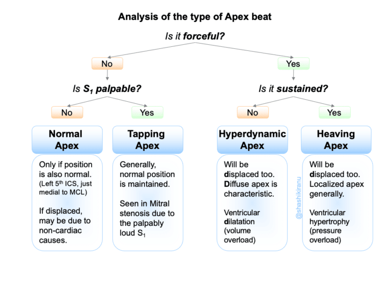 New: Examination of the Cardiac Apex Beat - May 2024
